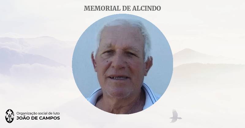 Memorial de ALCINDO GALLO (Gallo) - João de Campos
